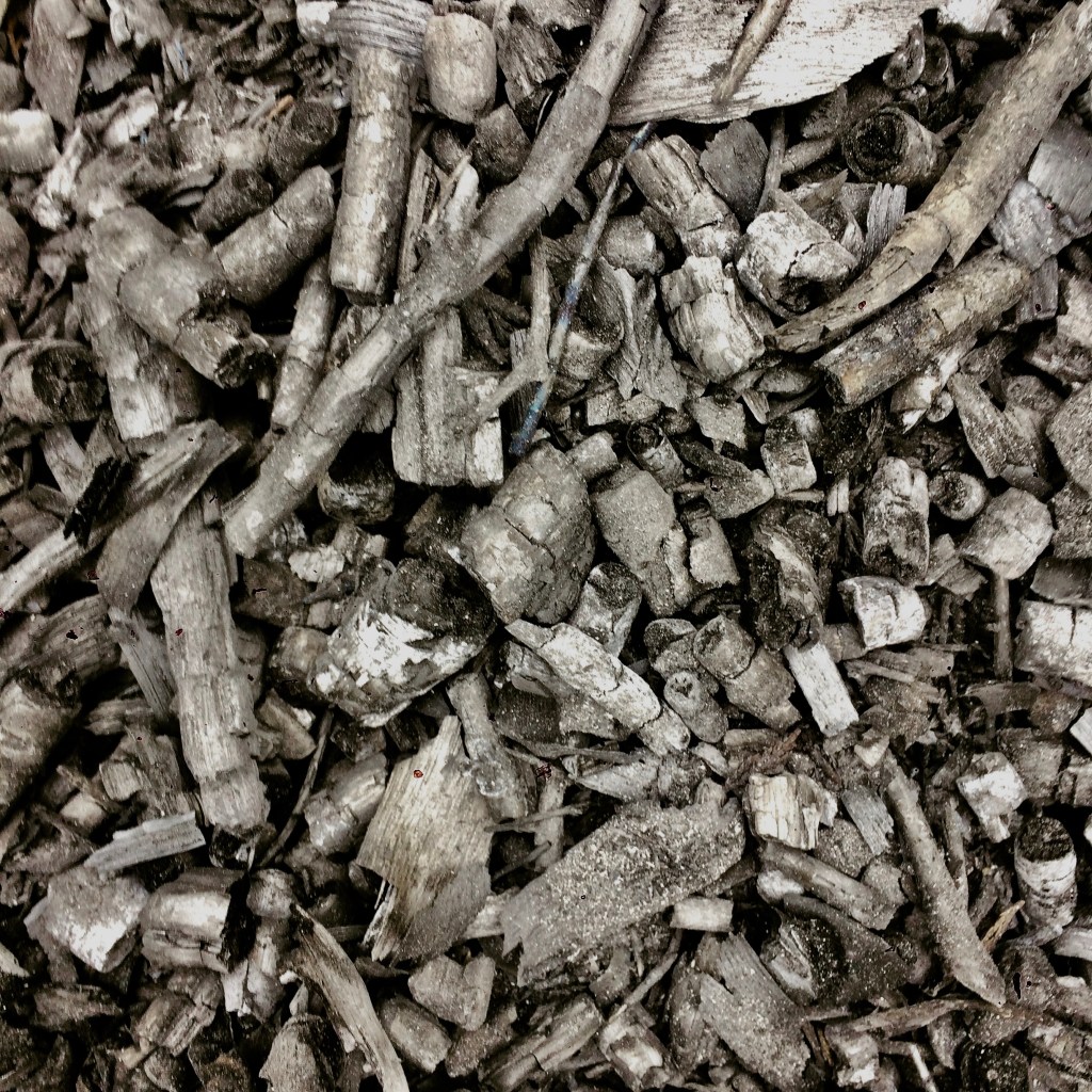 Making and using Biochar – Proper Edges – Traditional Rural Services ...